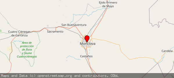 Salvemos a los conejos no ay que usarlos de experimentos - México ...