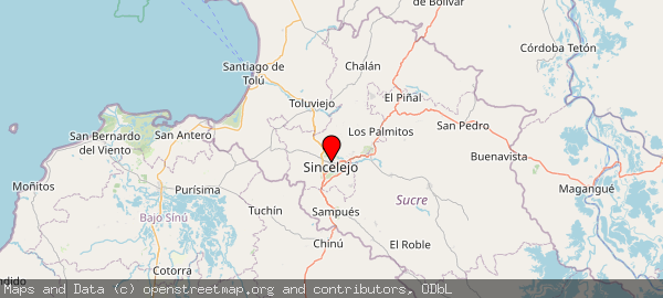 Protección a animales sin hogar - Colombia | Somos Puentes